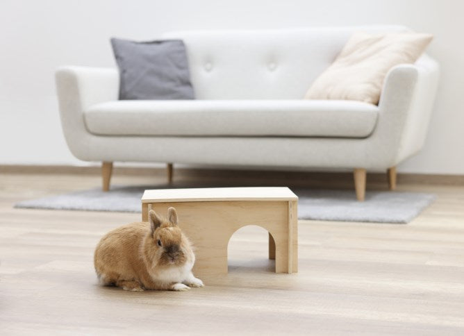 Wooden Rabbit Hideaway – Wild About Bunnies