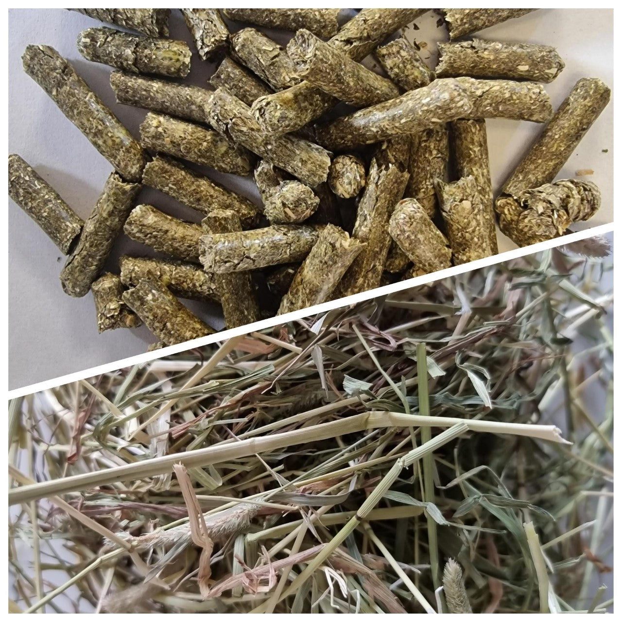 Wild About Bunnies | Safe Rabbit Toys, Rabbit Treats & Natural Forage